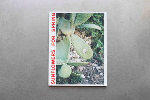 Order - Book 'Sunflowers for Spring' | Liza François