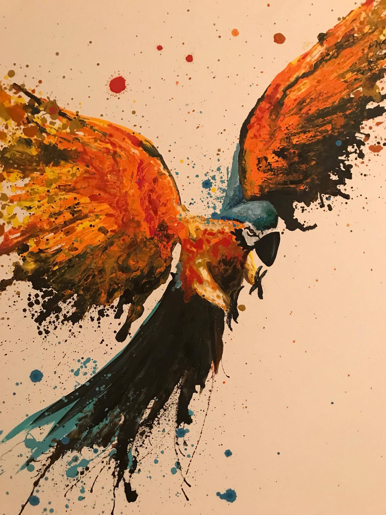 Home | Kollet Originals