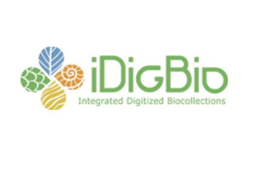 Home | Bailey-Matthews National Shell Museum | Sanibel Island