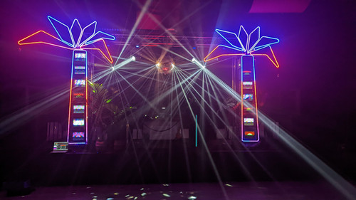 Palm Tree Installation | mediapollution