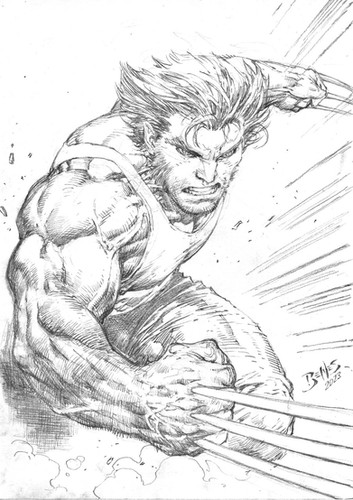 Wolverine - 09"x12" Pencil | EdBenesOrigianlArt