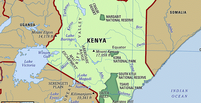 Environmental Advocacy | International Lawyers Project