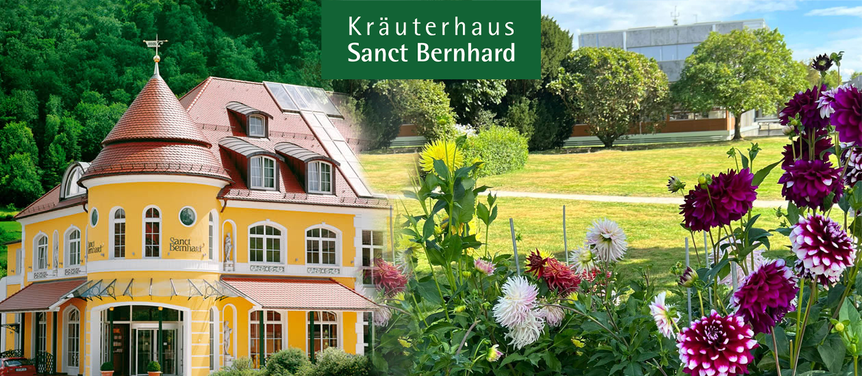 Geyer Haus Thailand | สกินเเคออร์เเกนิคจากเยอรมนี🇩🇪