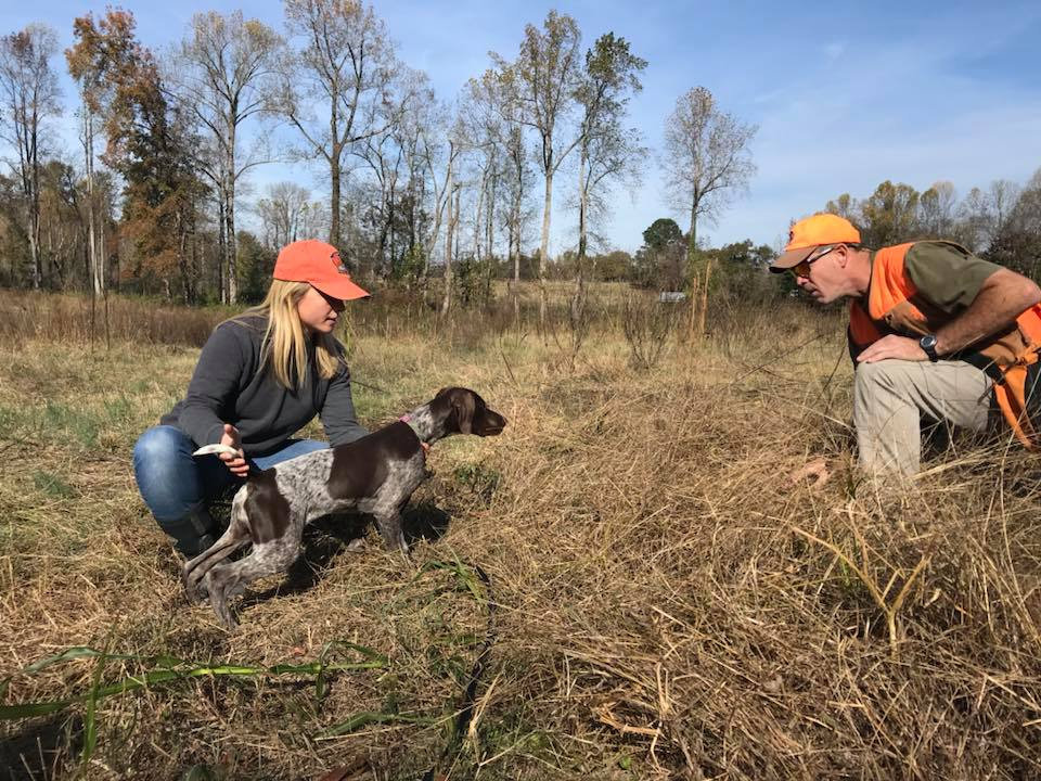 How To Get Started With Your Bird Dog