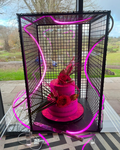 Black metal Cake Cage with neon | The Whole Sch Bang
