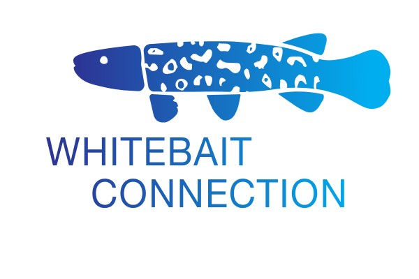 Whitebait Connection | Mountains to Sea Conservation Trust