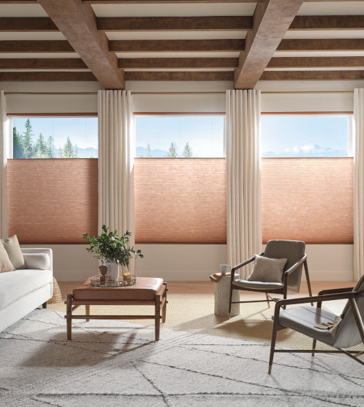 Premier Blinds & Designs | Custom Window Treatments Atlanta