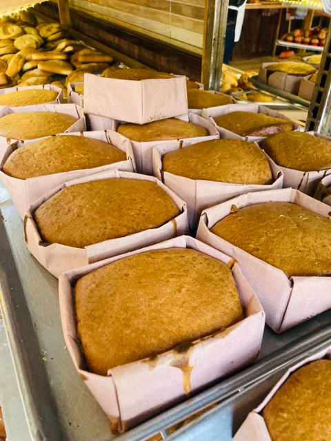 Marquesote | Repositorio Molango