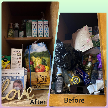 Cleaning With The Best | Vibrant & Beautiful Cleaning Services | New York