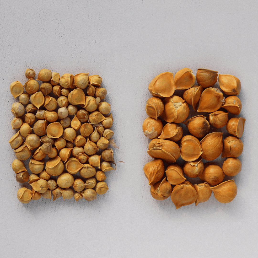 Buy Snow Mountain Garlic | Single-pod Garlic | Aagur