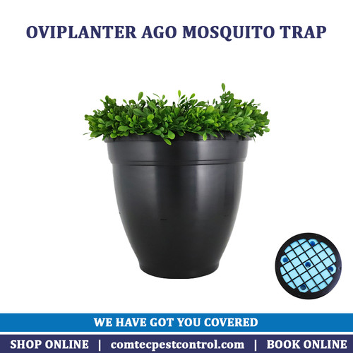 Oviplanter Mosquito Trap | ComtecServiceLimited
