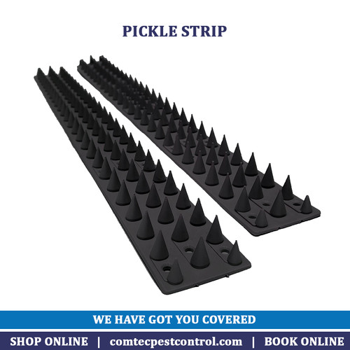 BIRD CONTROL PRICKLE STRIP | ComtecServiceLimited