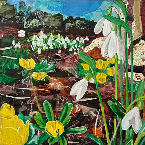 Catherine Farr - Woodland Floor with Aconites and Snowdrops | Artists ...