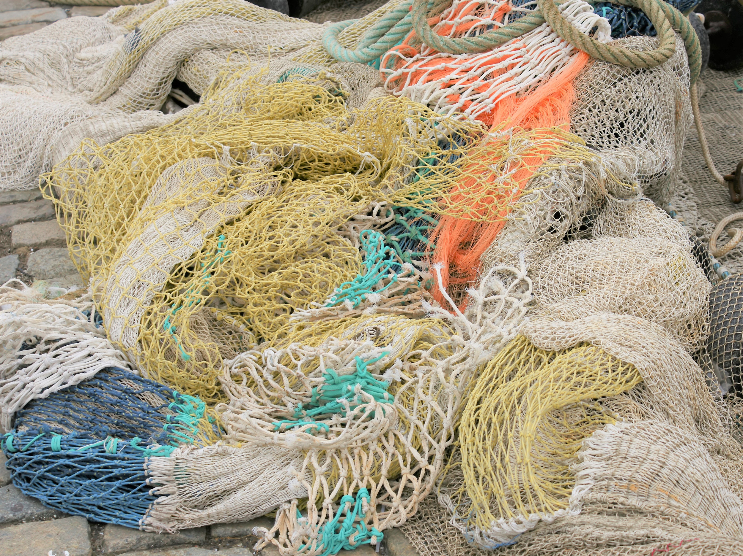 Nets | Honly Co. (Pte) Ltd 2/2