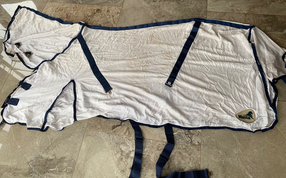 Fly rugs | Off The Rail Rugs