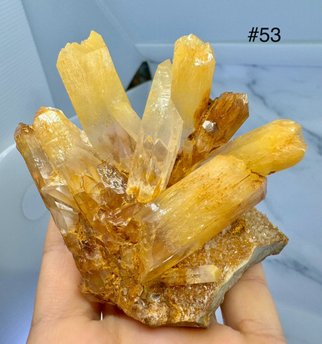 Mango Cluster | David Sereda