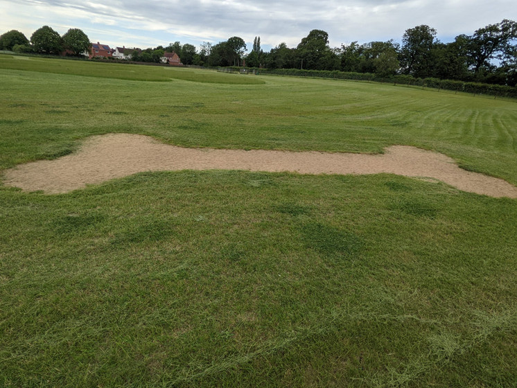 Secure fields | contentedcanine