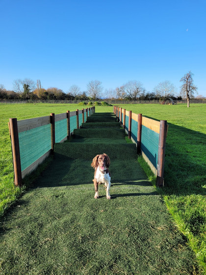 Secure fields | contentedcanine