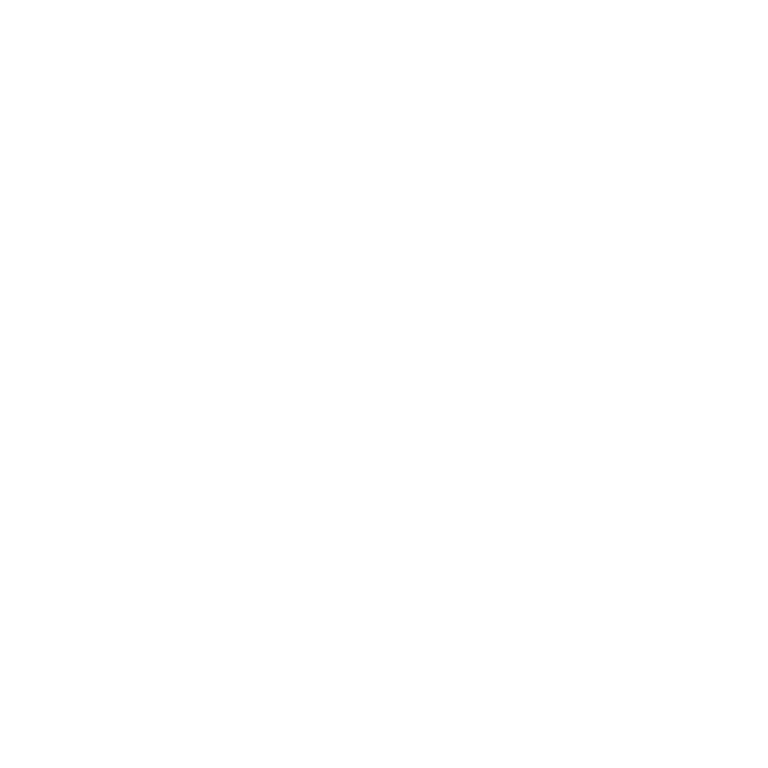 CEH - Certified Ethical Hacker v13