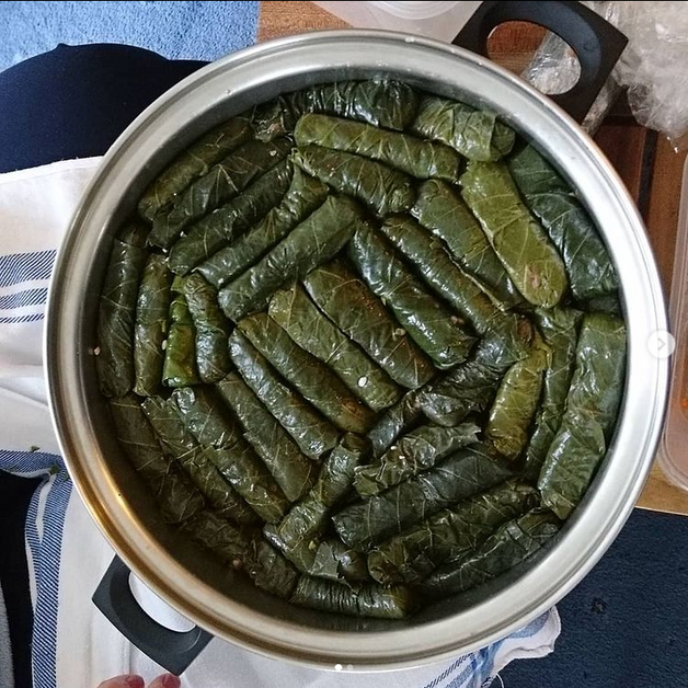 Warak Enab | Recipes | Tales of Jewish Sudan