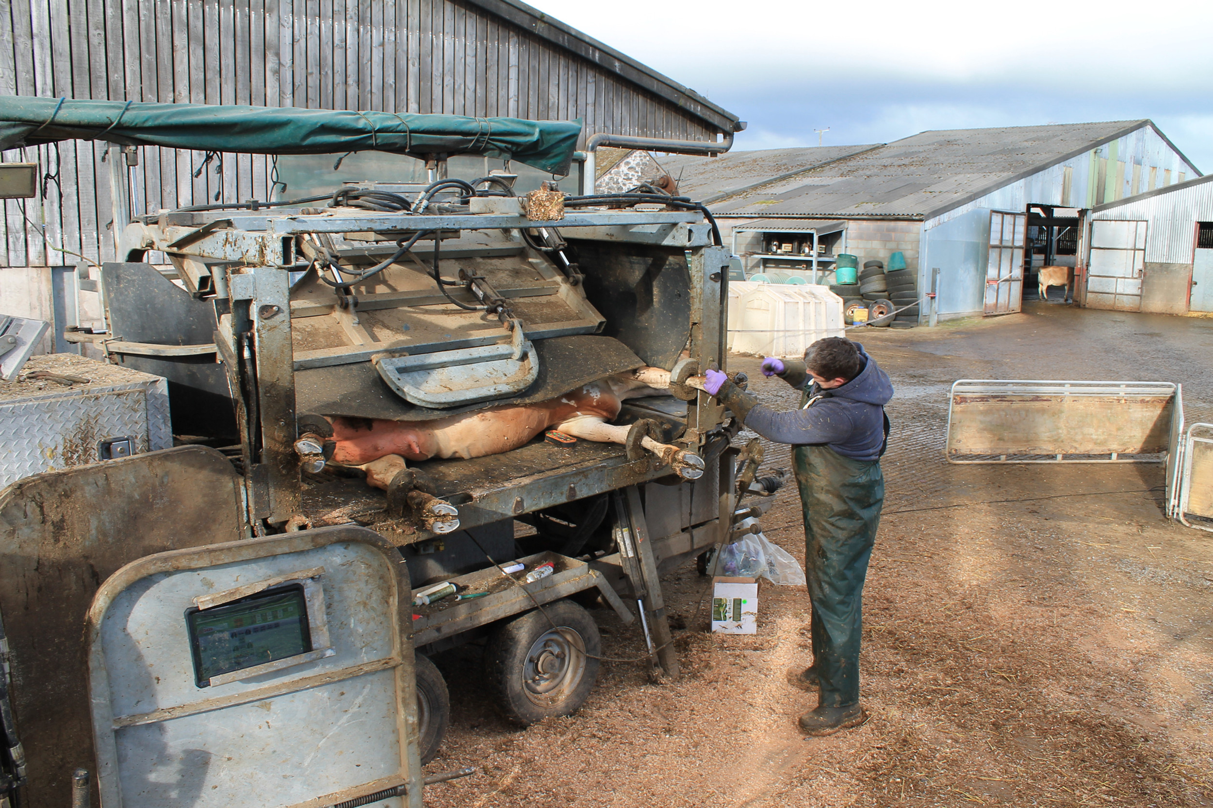 Meet the Team | ND Challenor Professional Livestock Services ...