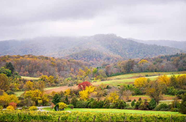 Unveiling the Allure of Nelson County, Virginia: A Hidden Traveler's ...