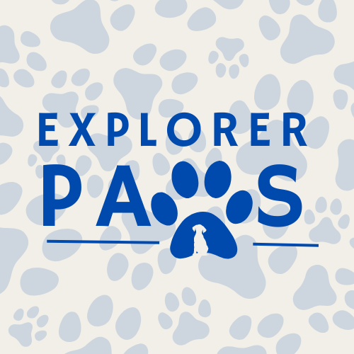 Explorer Paws | Dog walking in South Liverpool | Liverpool, UK