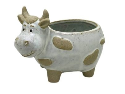 Cow Pot Planter Online | Cow Ceramic Pot | Gecko Giftware AUS