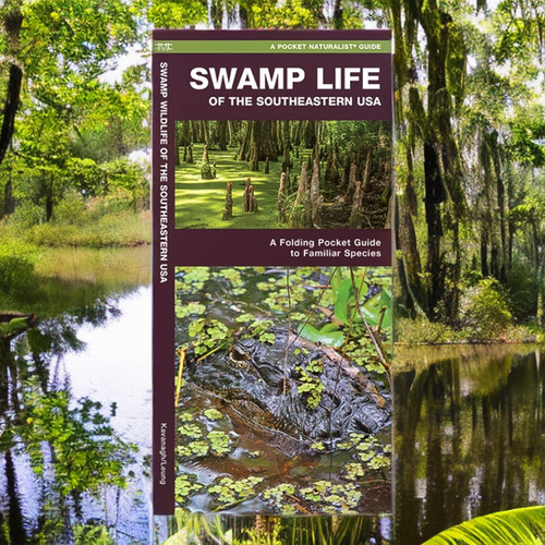 Swamp Life of the Southeastern USA Nature Guide | Coyote Moon