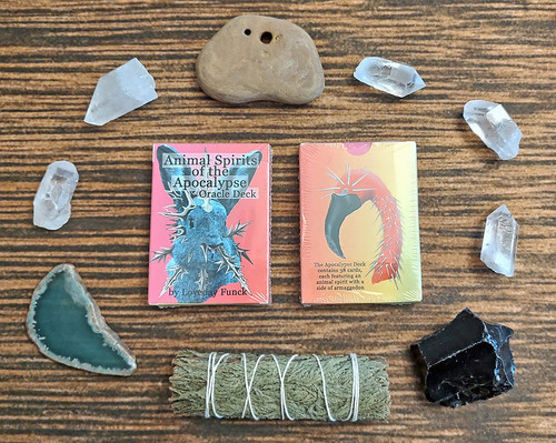 Animal Spirits of the Apocalypse Oracle Deck by Loveday Funck | Coyote Moon