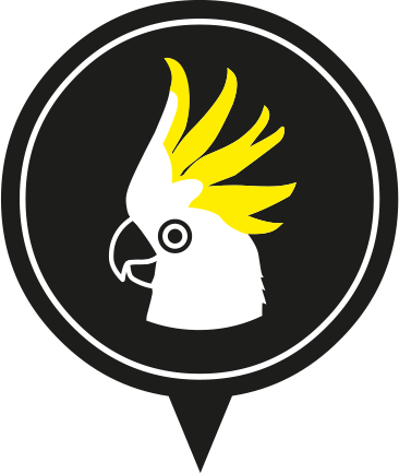 Smoothies und Bowls | Cacadoo Deli & Store | Nordrhein-Westfalen