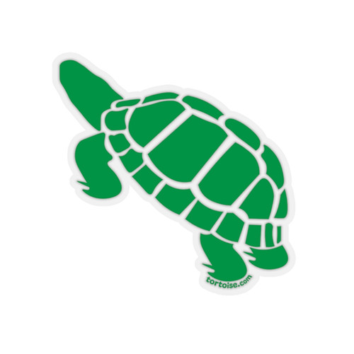 Box Turtle Sticker | world-turtle-day