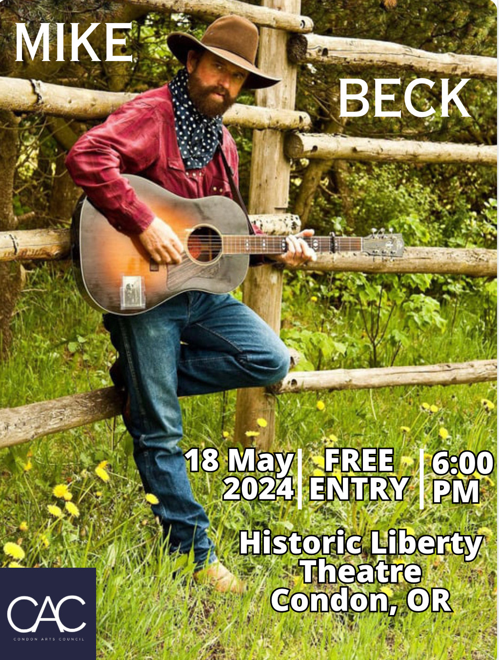 Mike Beck Acoustic Solo Show | mikebeck