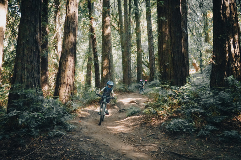 Exploring the Best Bay Area Mountain Bike Routes for Kids