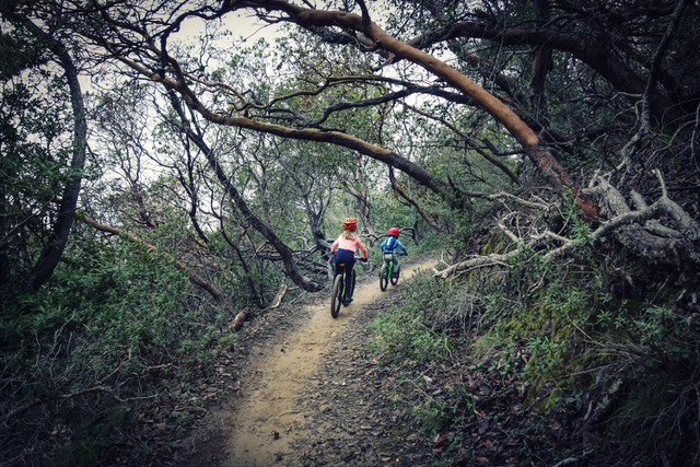 Exploring the Best Bay Area Mountain Bike Routes for Kids