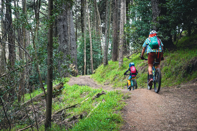 Exploring the Best Bay Area Mountain Bike Routes for Kids