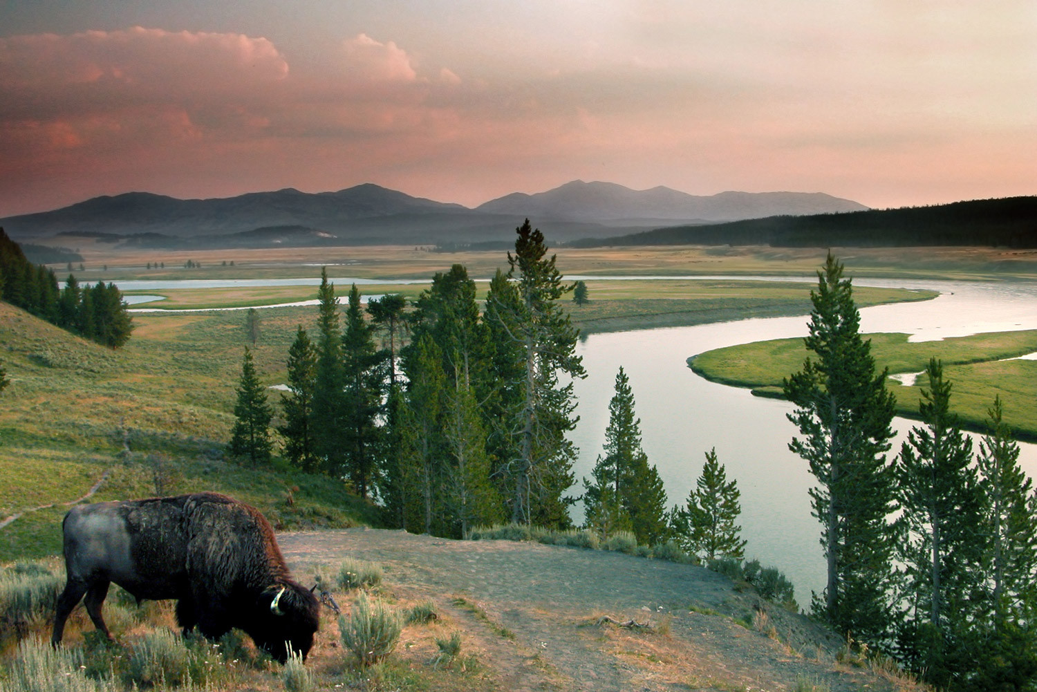 Yellowstone Excursions | Yellowstone tours