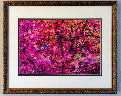 Symphonic Luminance by Jan Mayer | DesertMuseumArts.com