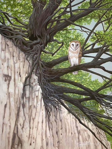 Richard Sloan's Raptors of Arizona signed prints & artist's proofs ...