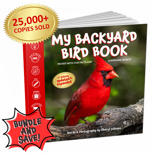 My Backyard Bird Book | CherylJohnson Author
