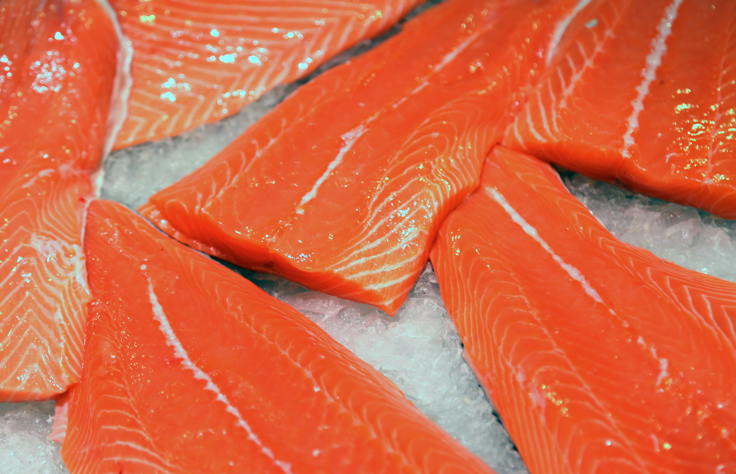 Wholesale | Alaskan Seafood | Silver Tip Seafoods