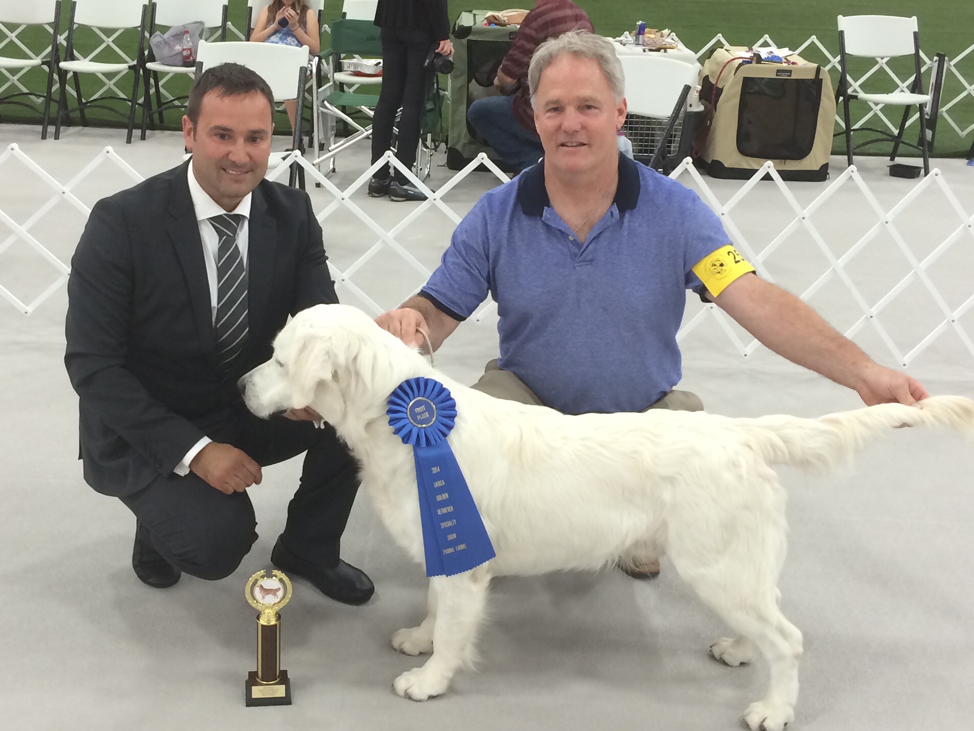 Photo Gallery | Classic Heritage Golden Retrievers