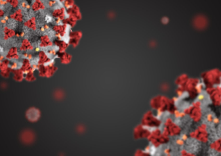 Home | Sentry Alarm Systems | United States