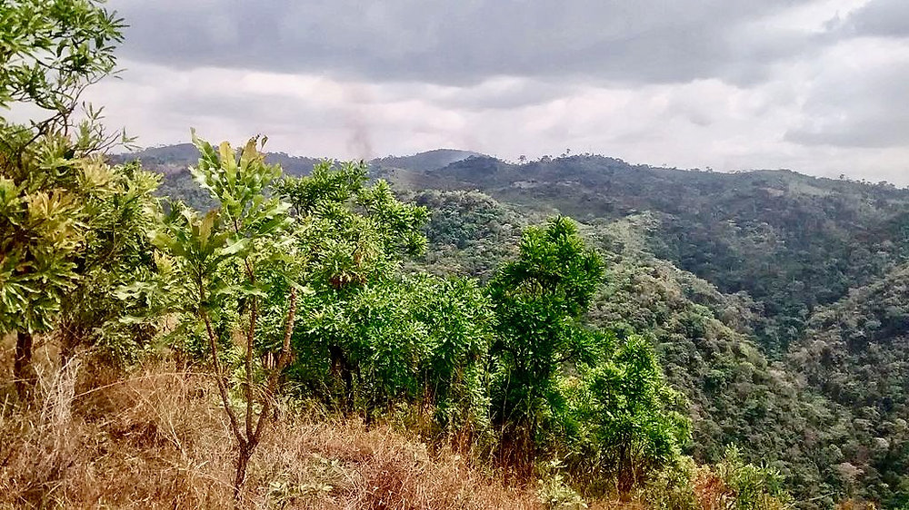 mount afadjato weather