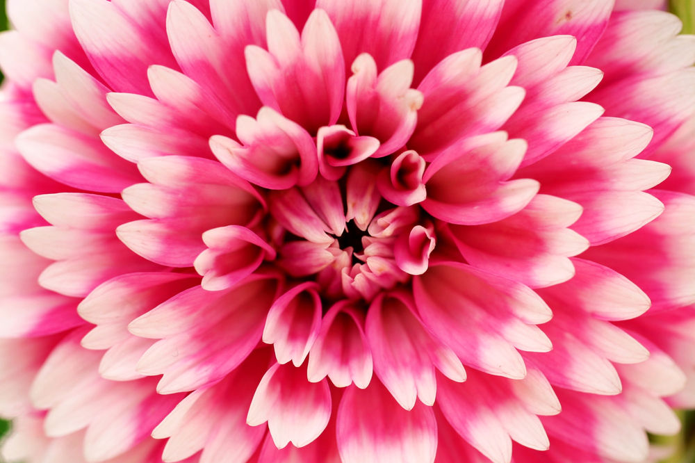 What is Bloom’s taxonomy and why does it still matter?