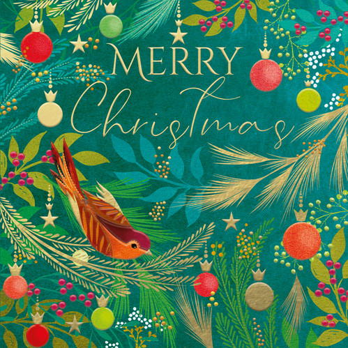 Golden Robin | British Polio