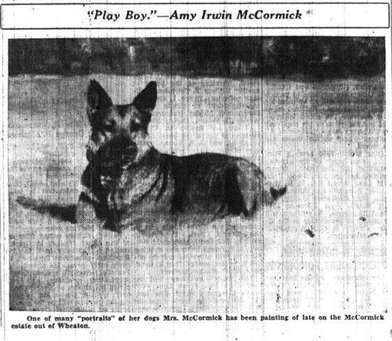 Amy Irwin McCormick