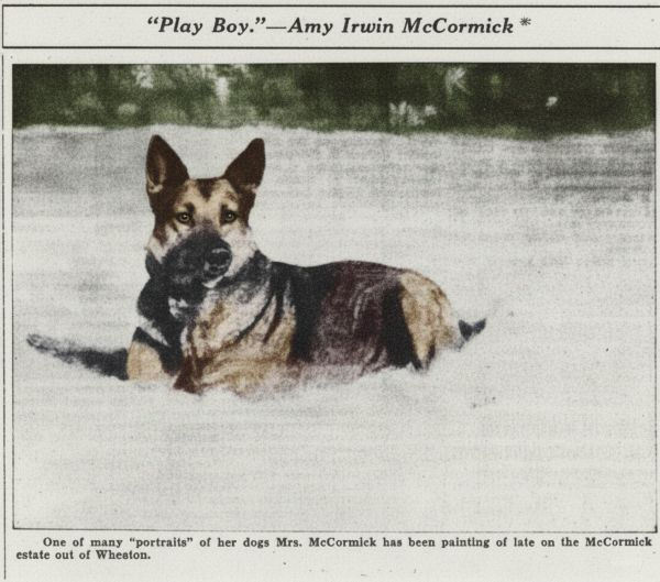 Amy Irwin McCormick Biography from C. J. Bulliet