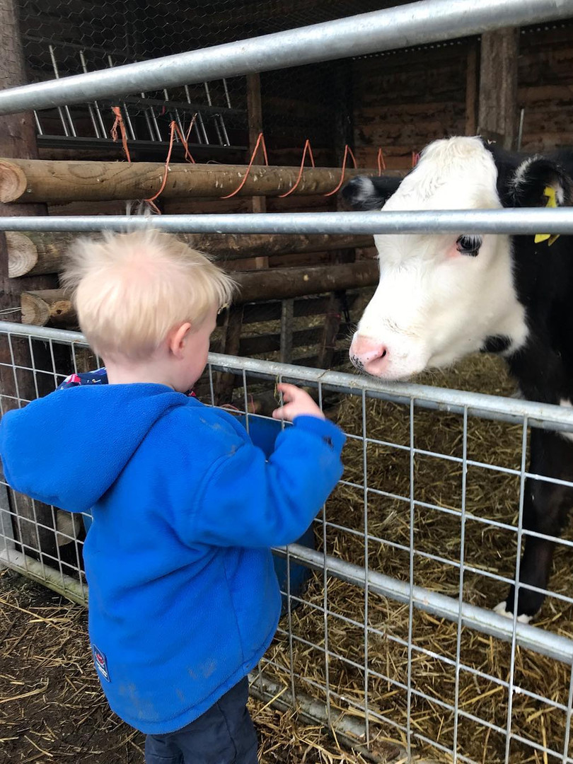 Visit | River Bourne Community Farm | Salisbury