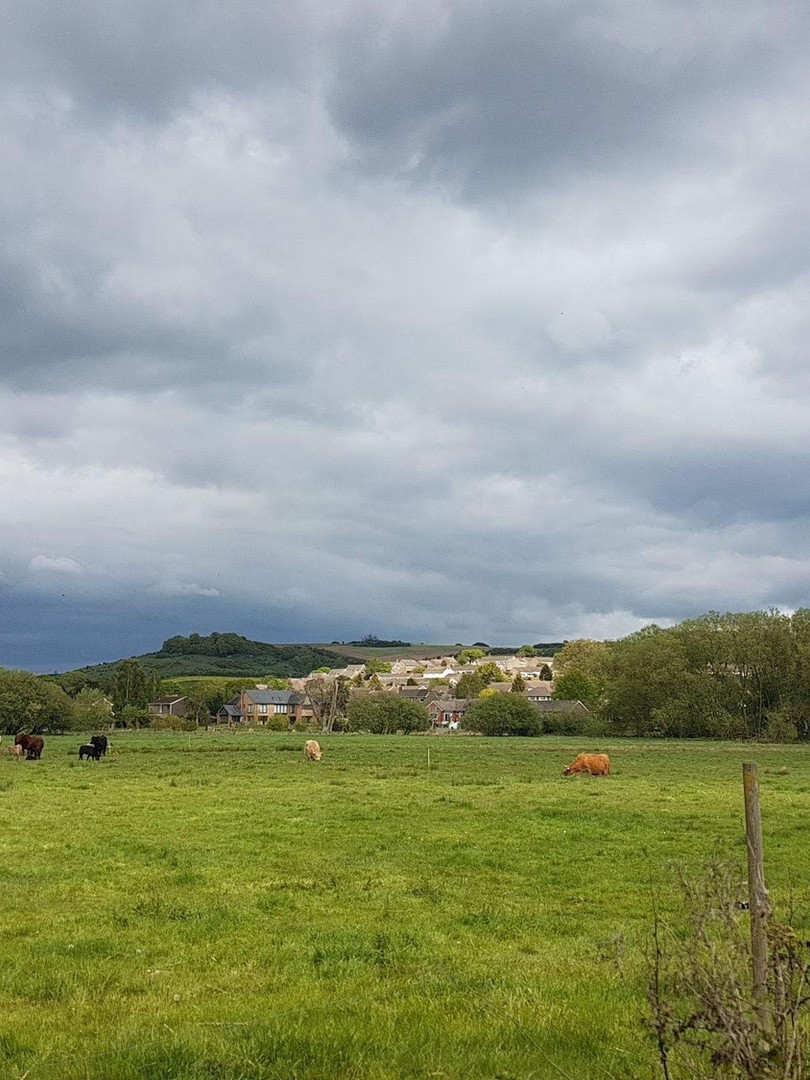 Visit | River Bourne Community Farm | Salisbury